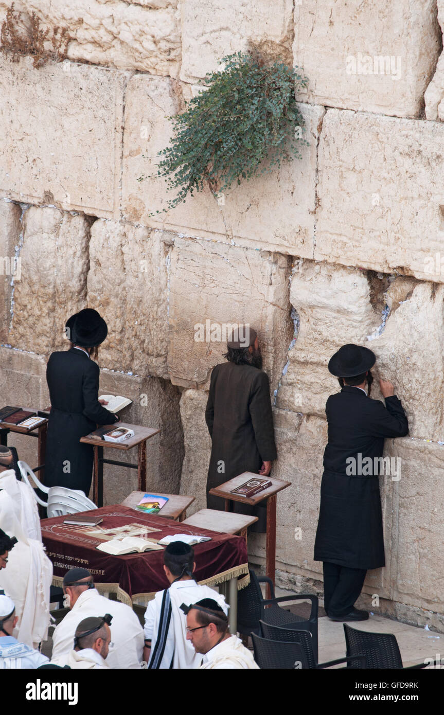 Jerusalem: Jewish men praying at the Western Wall, the Wailing Wall or ...