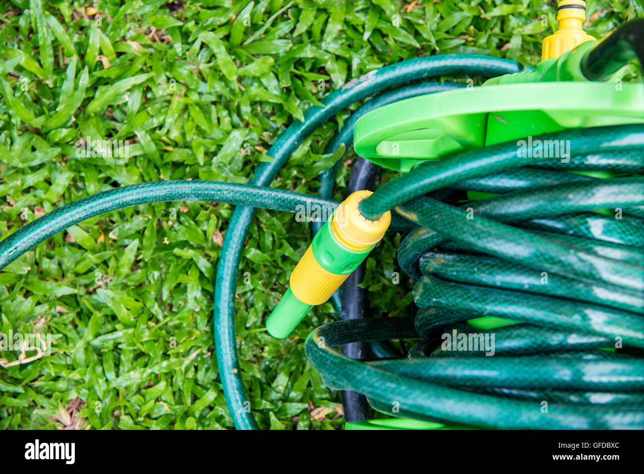 Rubber tube for watering plants in the garden Stock Photo - Alamy