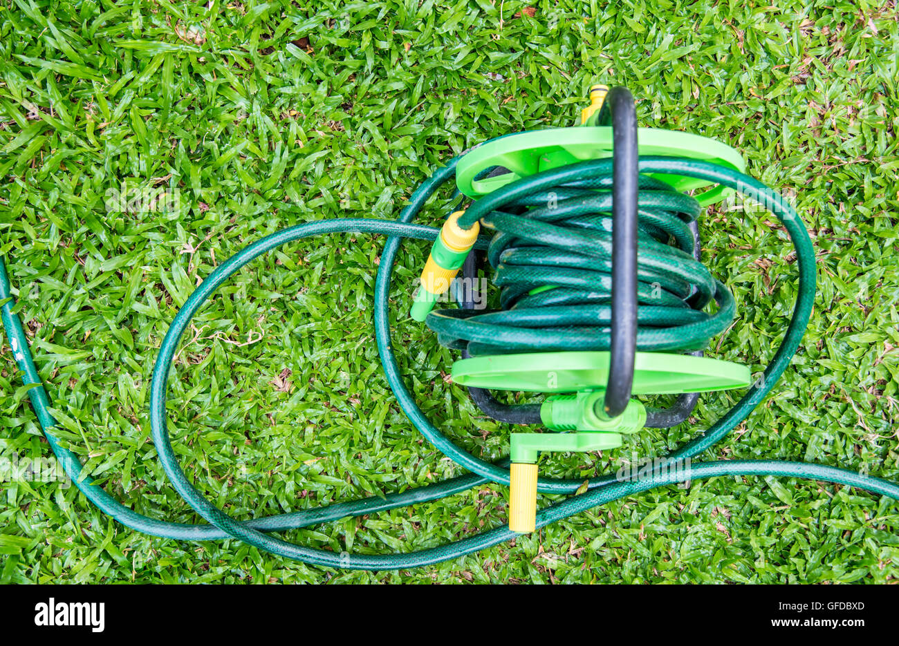 Rubber tube for watering plants in the garden Stock Photo - Alamy