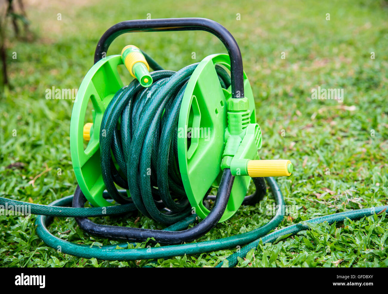 Rubber tube for watering plants in the garden Stock Photo - Alamy