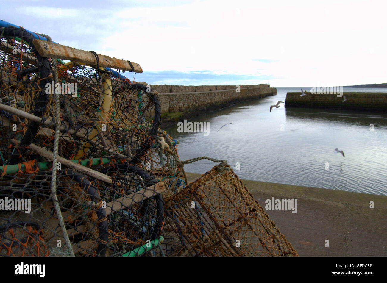 St andrews harbour pier hi-res stock photography and images - Alamy