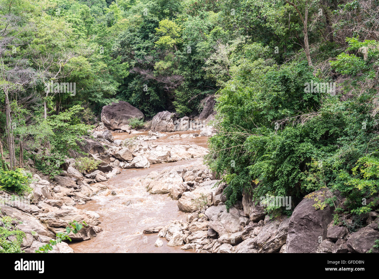 View of dirty water flow in jungle river Stock Photo - Alamy