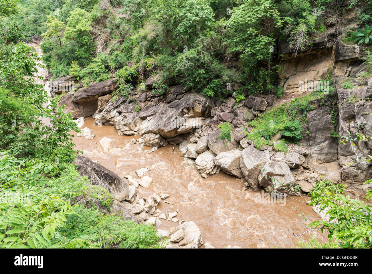 View of dirty water flow in jungle river Stock Photo - Alamy