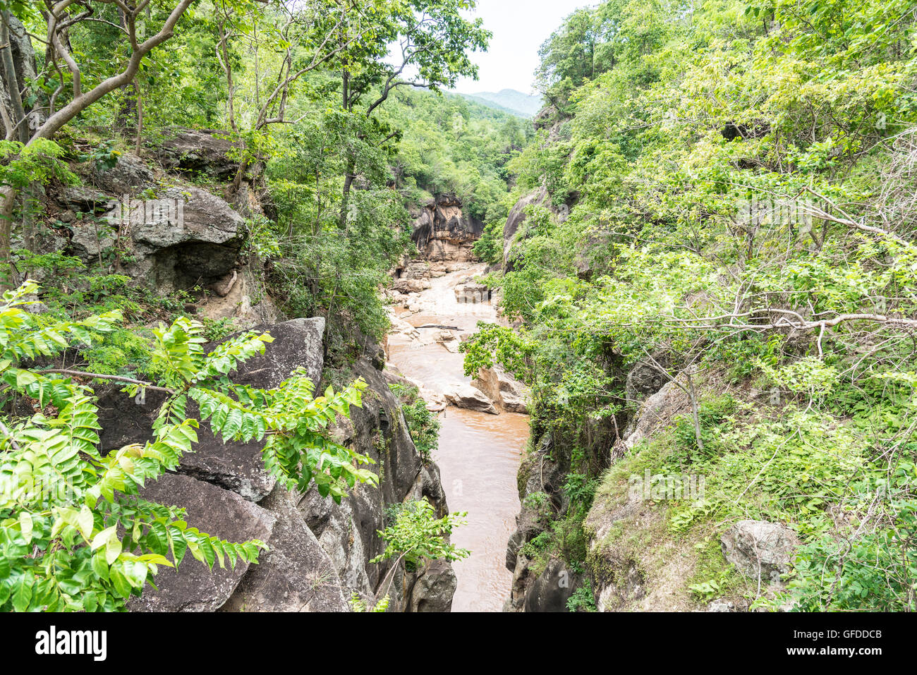 View of dirty water flow in jungle river Stock Photo - Alamy