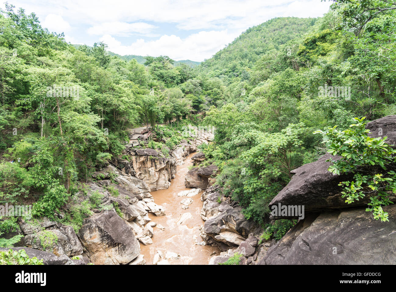 View of dirty water flow in jungle river Stock Photo - Alamy