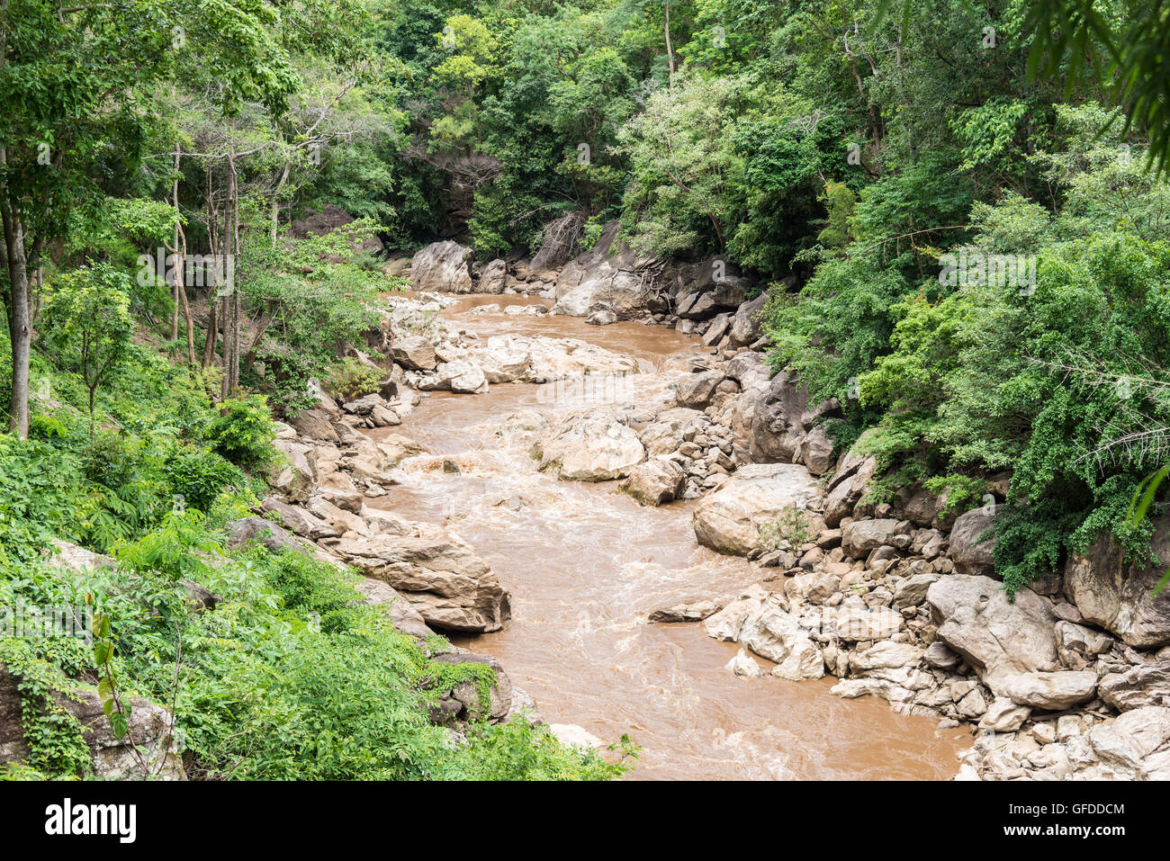 View of dirty water flow in jungle river Stock Photo - Alamy