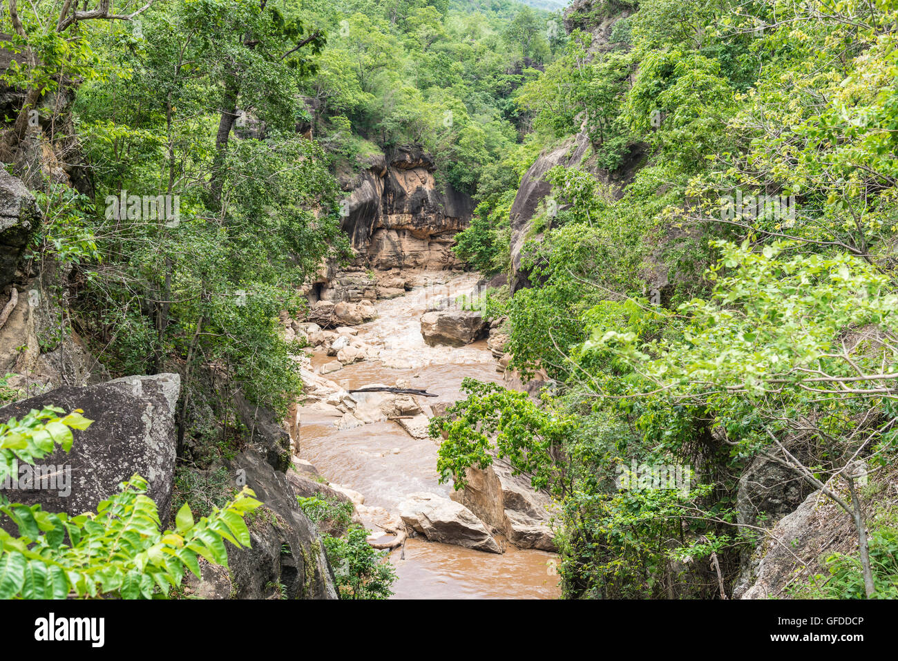 View of dirty water flow in jungle river Stock Photo - Alamy