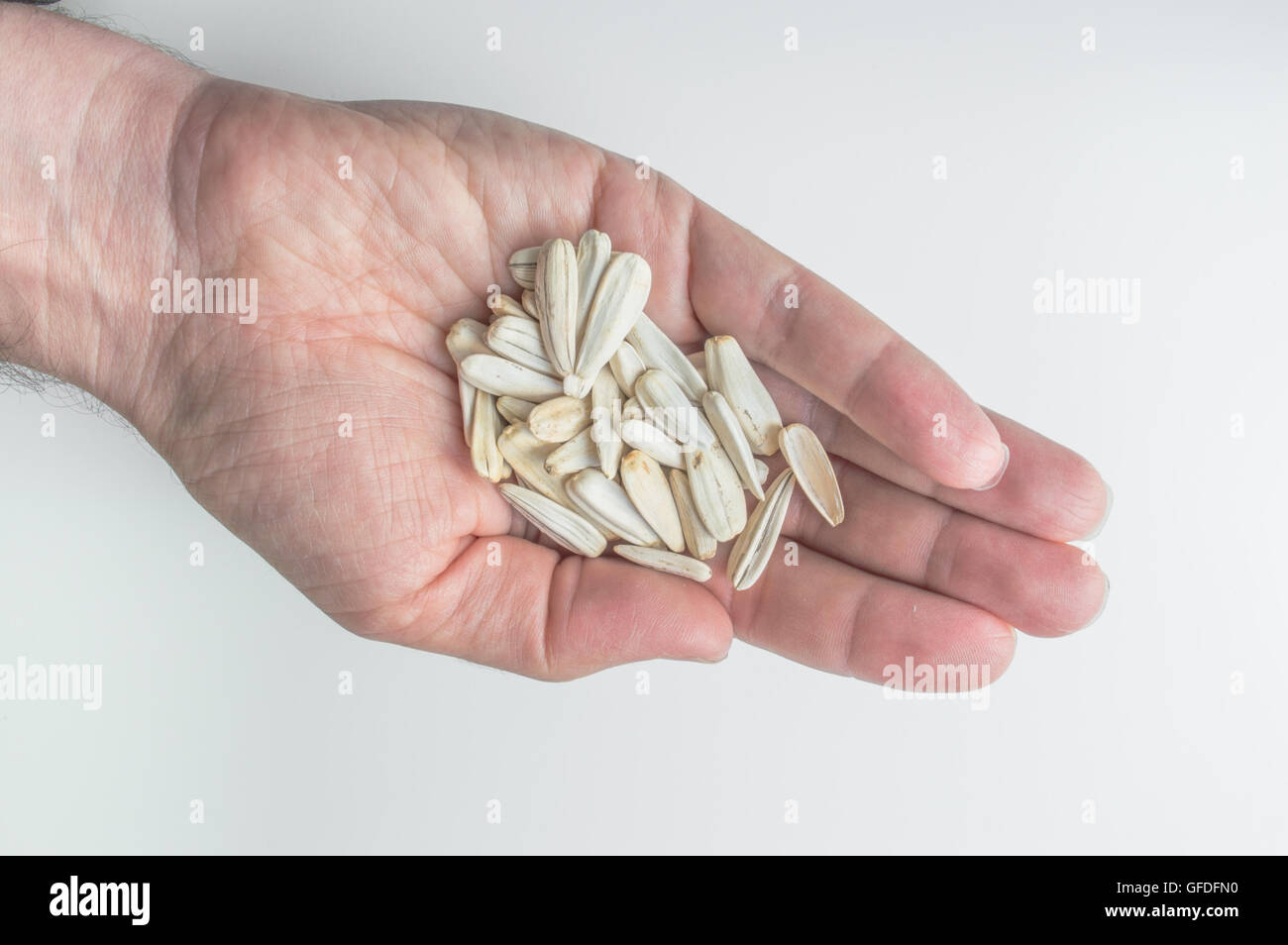 Sunflower seed in a man's hand isolated on white background Stock Photo ...