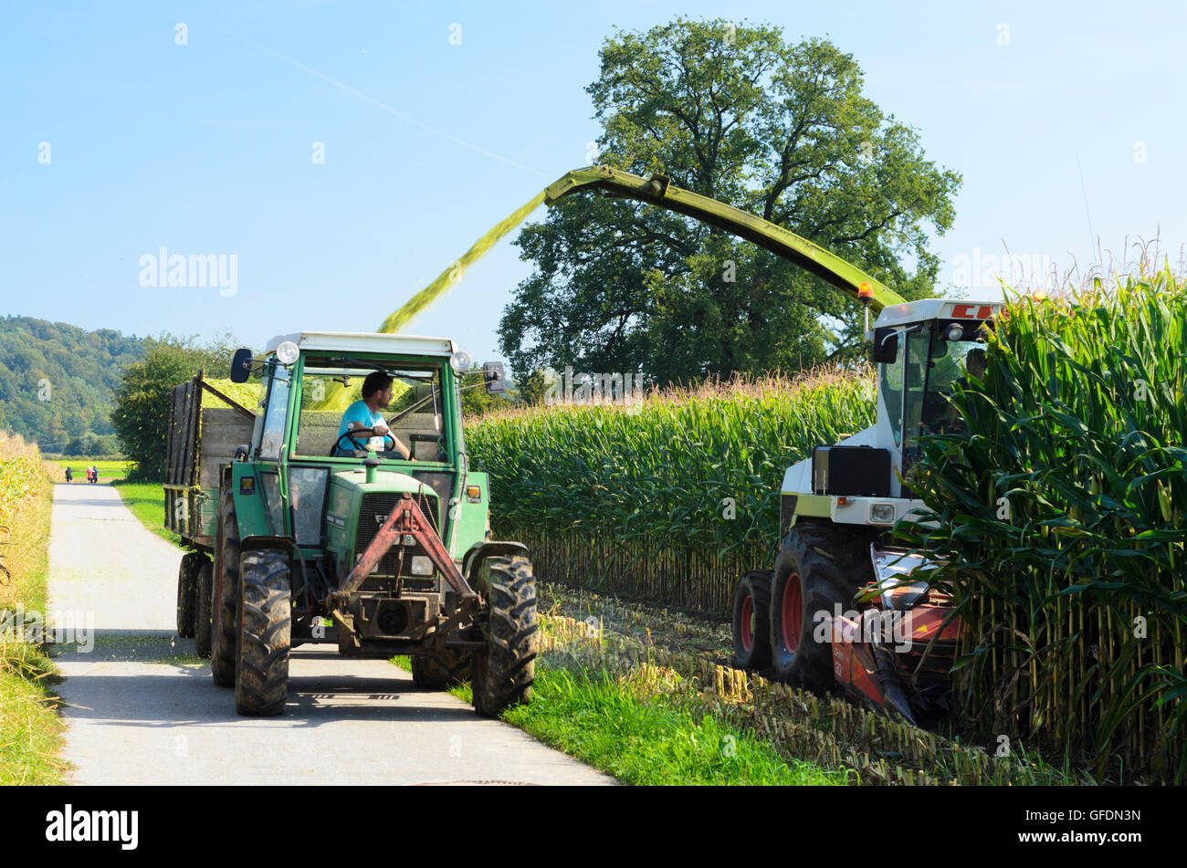 Winzer hi-res stock photography and images - Alamy