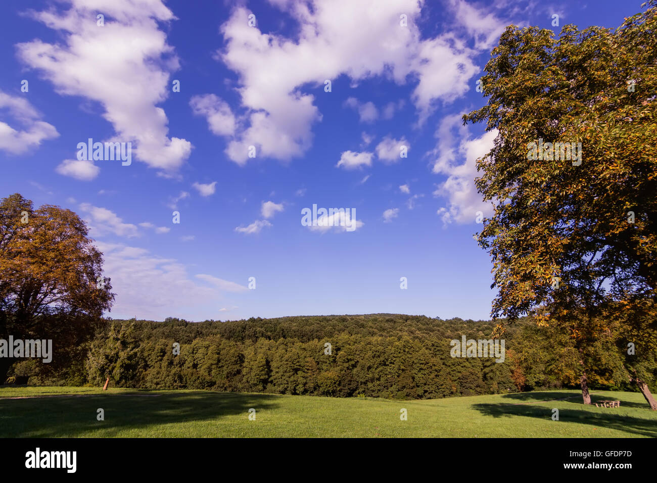 Colorful autumn Landscape. Trees Starting to Change Color in Early ...