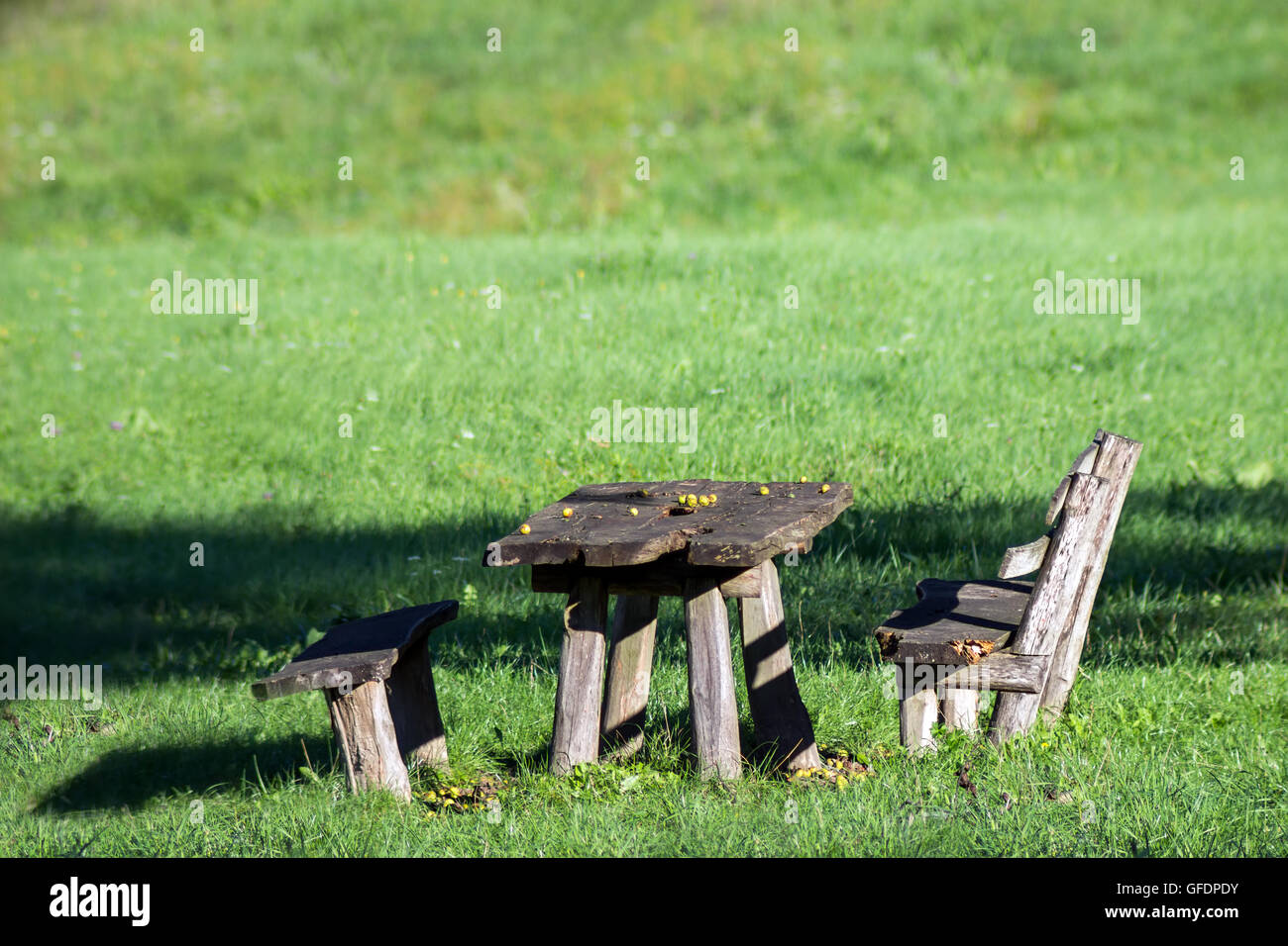 Old wooden bench and table under apple tree. Early Autumn apples ...