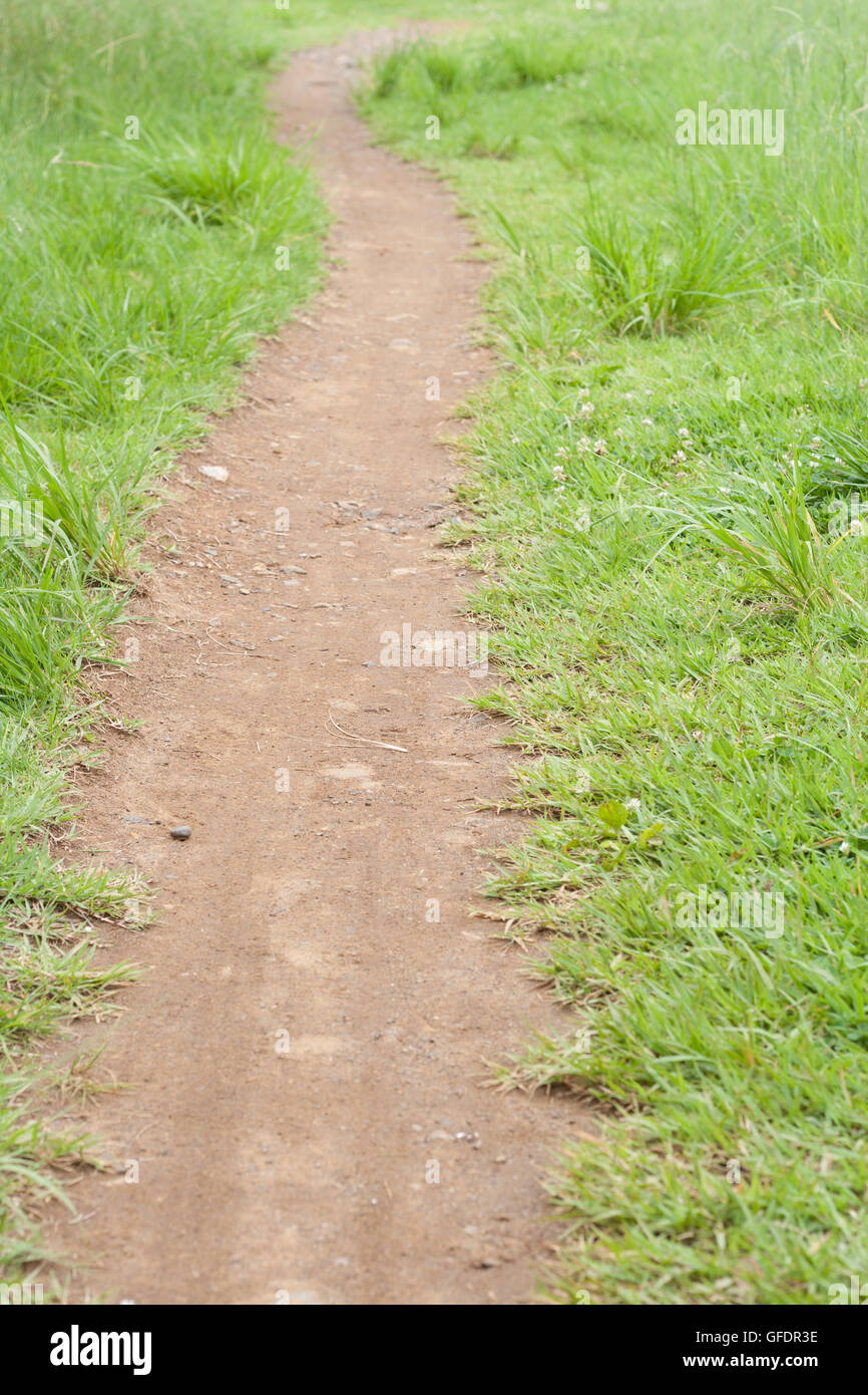 Straight trail hi-res stock photography and images - Alamy