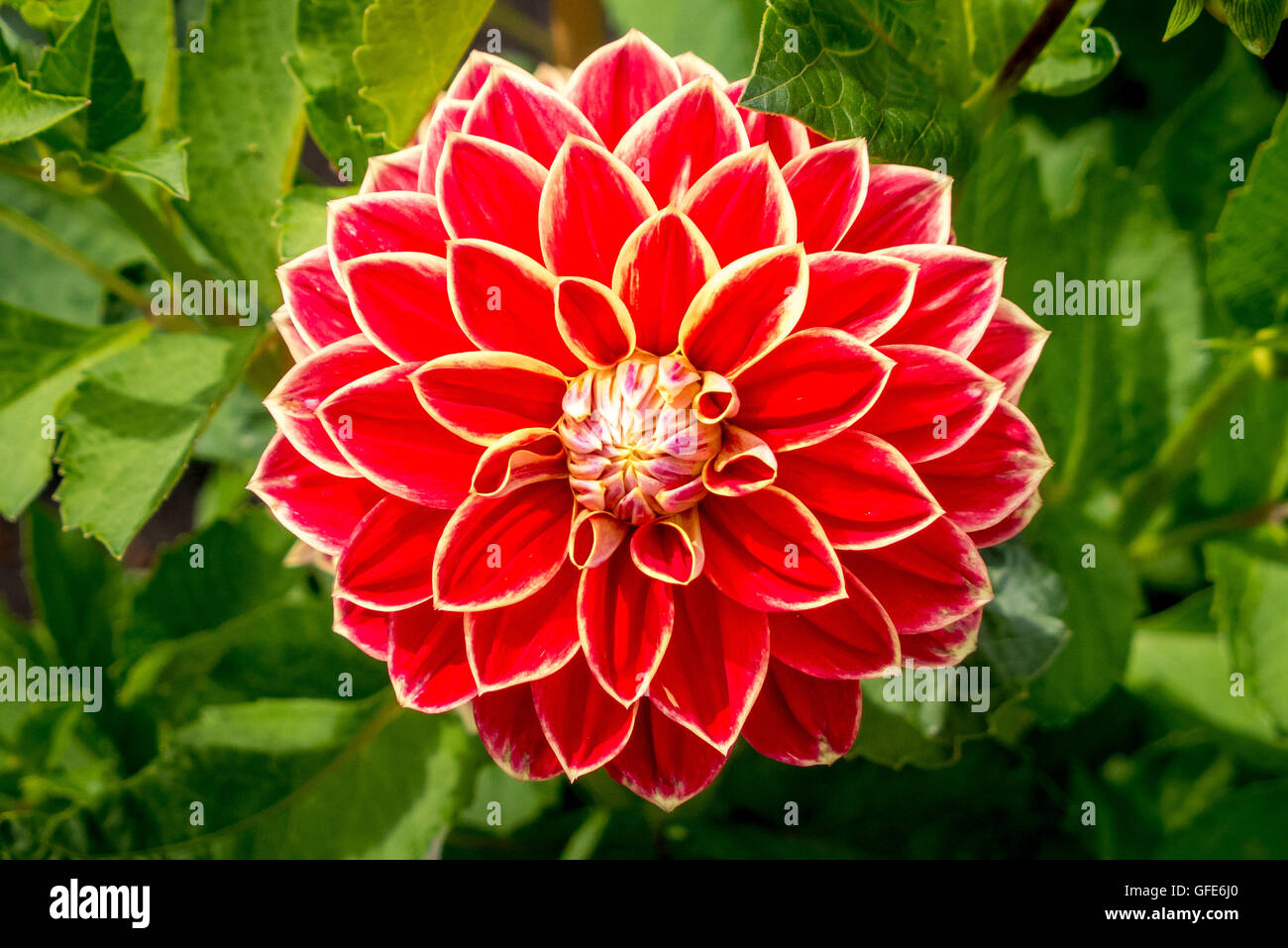 The Salutation, Sandwich, Kent High Resolution Stock Photography and ...