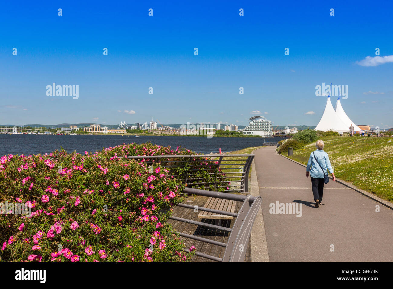 The redeveloped waterfront of the Cardiff Bay area of Cardiff, South ...