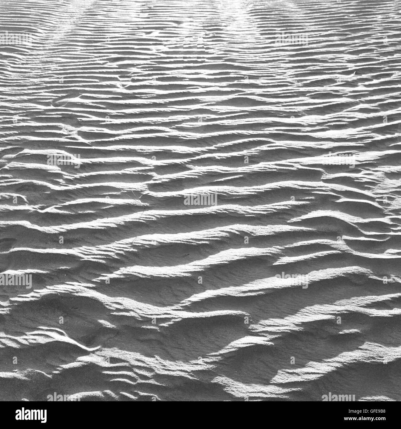 abstract texture line wave in oman the old desert and the empty quarter ...
