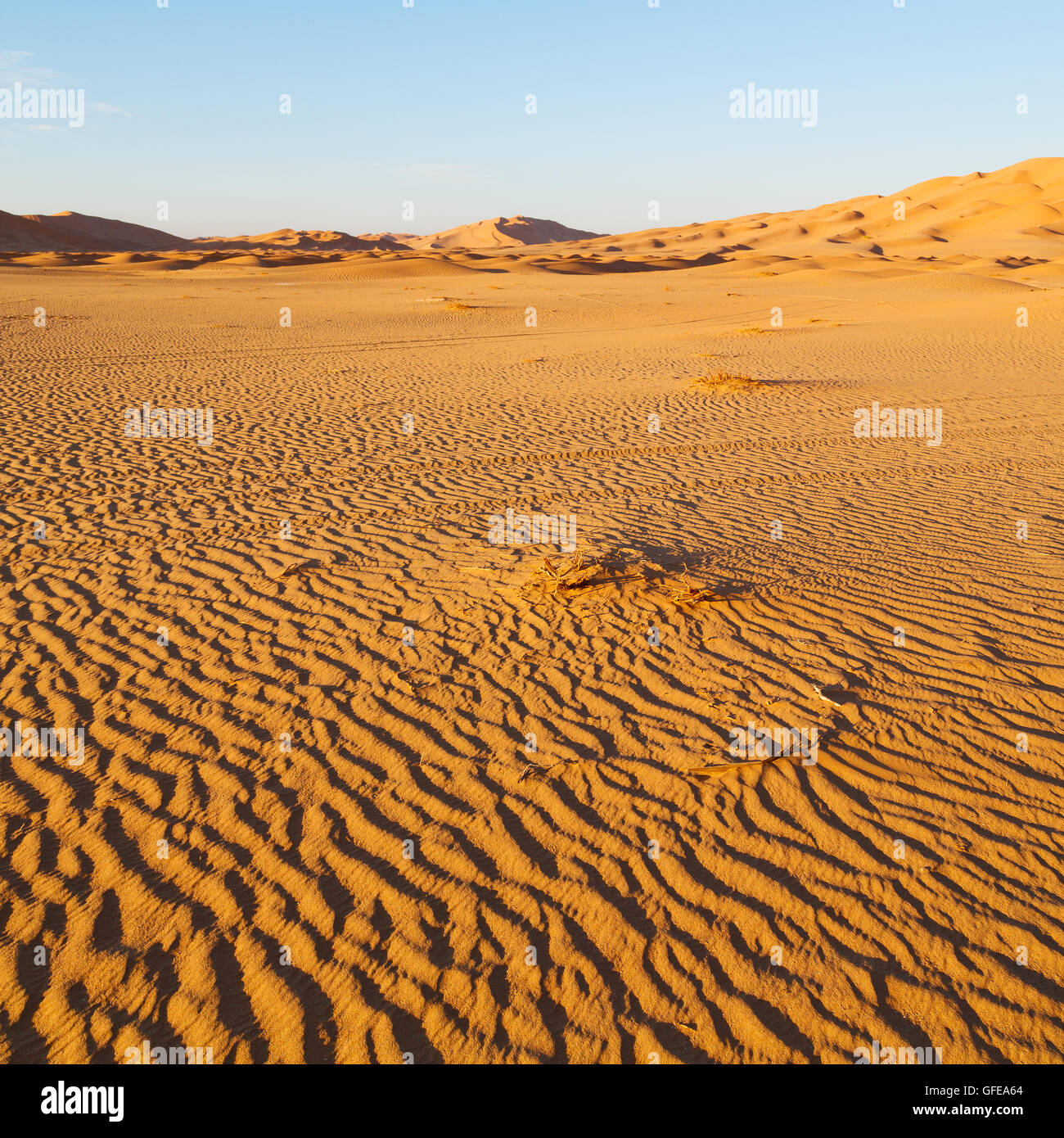 the empty quarter and outdoor sand dune in oman old desert rub al khali ...