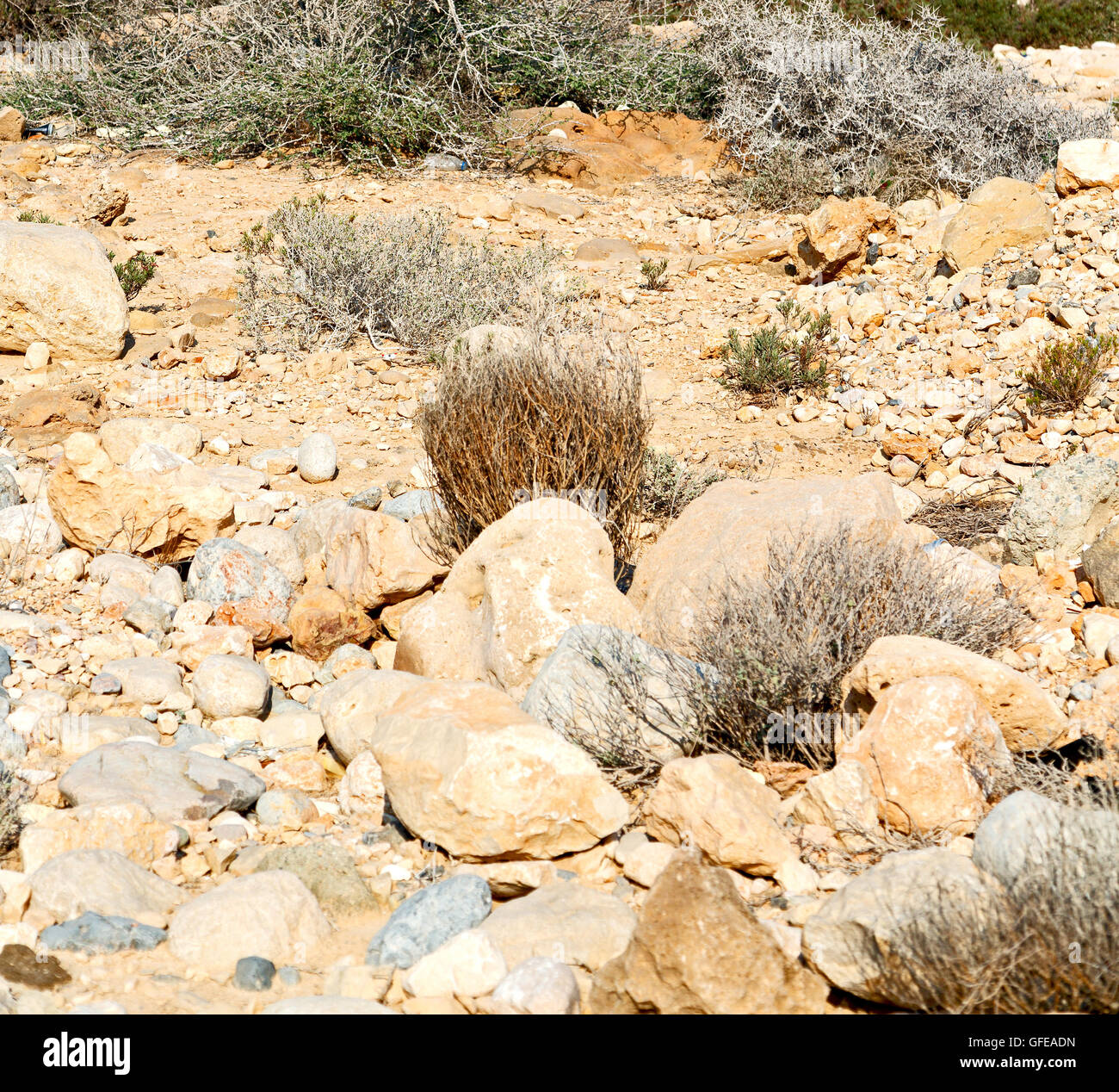 relax near sky in oman coastline sea ocean gulf rock and beach Stock ...
