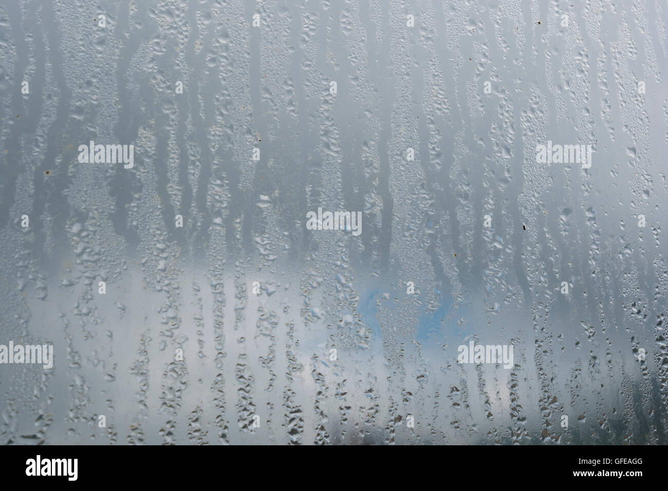 Condensation / moisture on plastic covering of a polytunnel Stock Photo ...