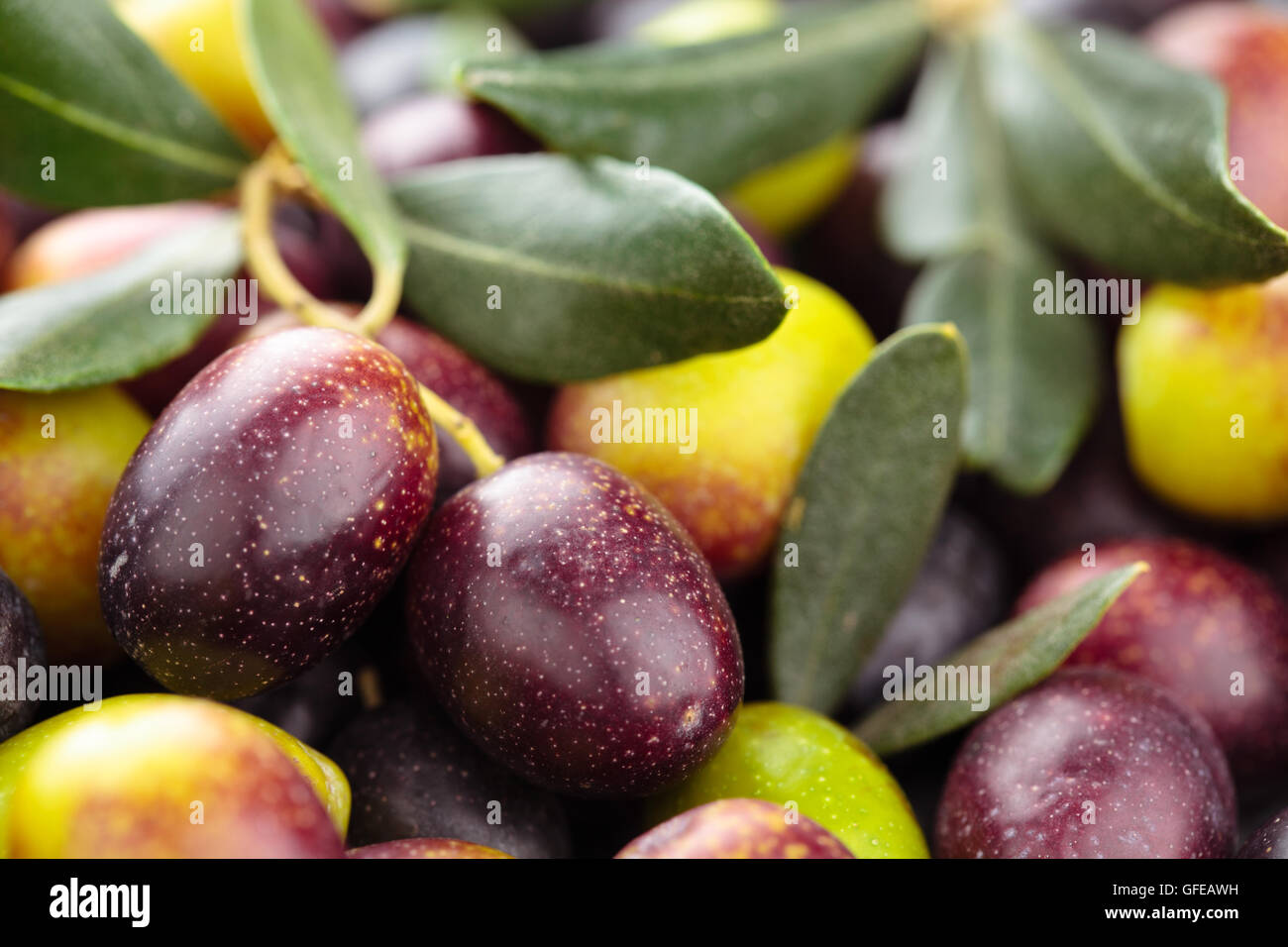Background of fresh olives Stock Photo - Alamy