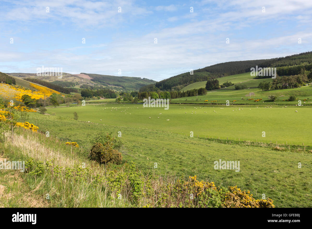 Tweed Valley landscape, Scottish Borders, Scotland, UK Stock Photo - Alamy