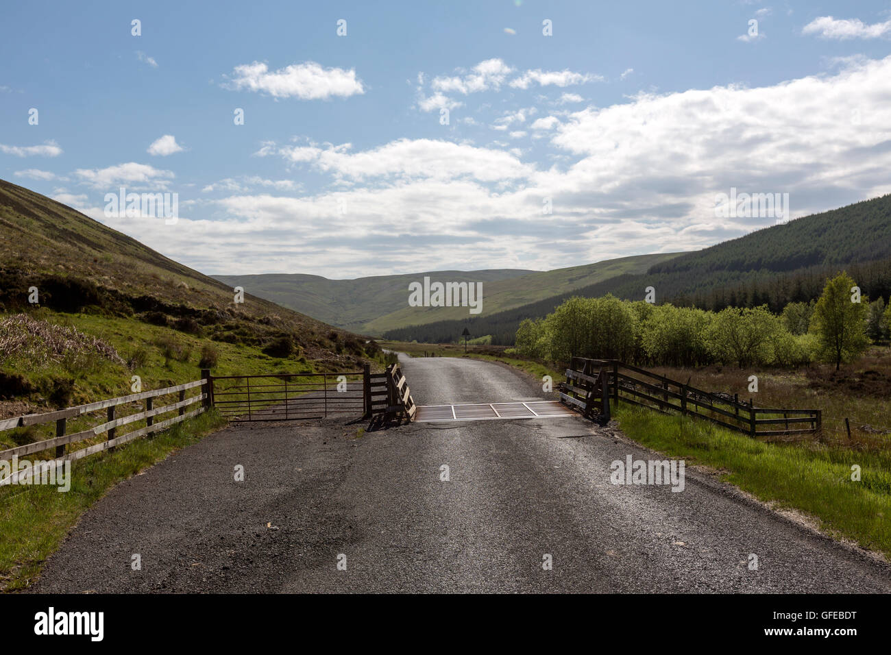 Cattle grid in Tweed Valley, Scottish Borders, Scotland, UK Stock Photo ...