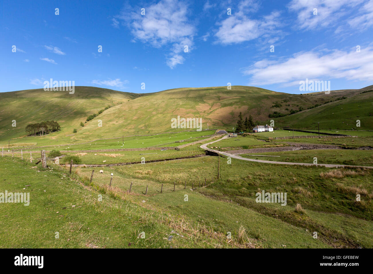 Tweed valley farm hi-res stock photography and images - Alamy