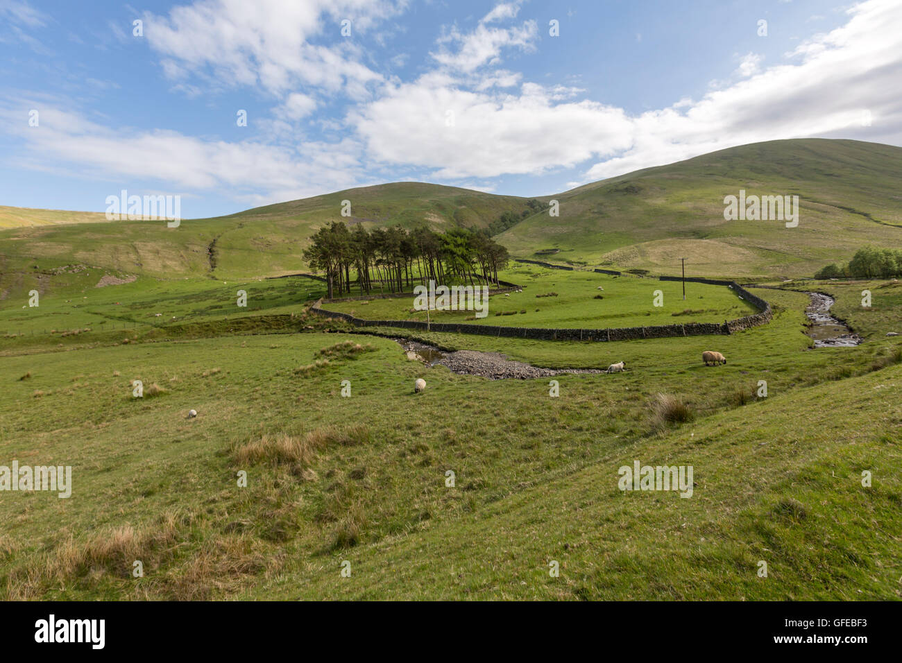 Landscape of Tweed Valley, Scottish Borders, Scotland, UK Stock Photo ...