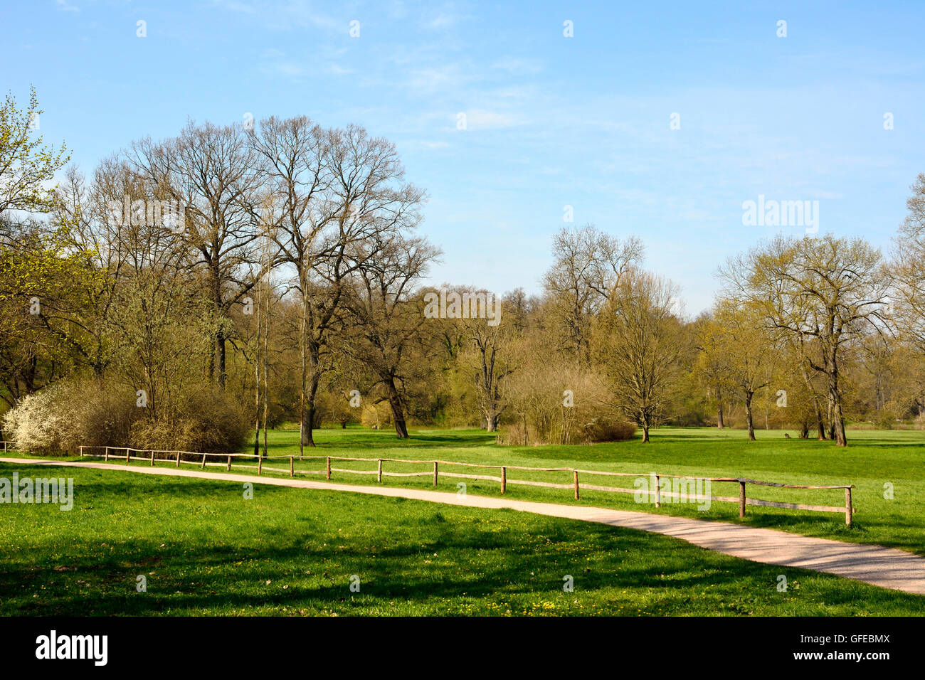 City park in spring Stock Photo - Alamy
