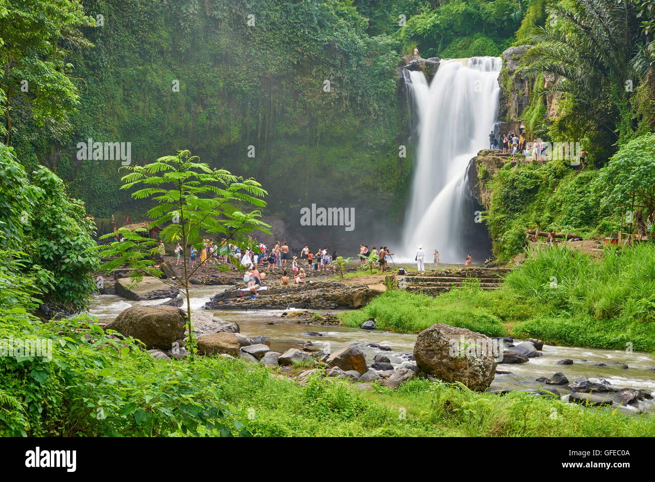 Tegalalang waterfall near ubud bali hi-res stock photography and images ...