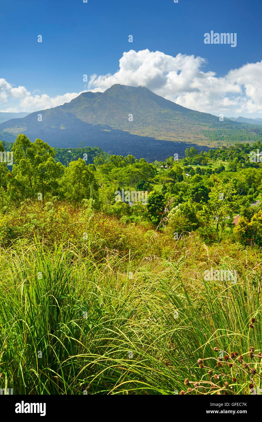 Gunung Batur Volcano, Bali, Indonesia Stock Photo - Alamy