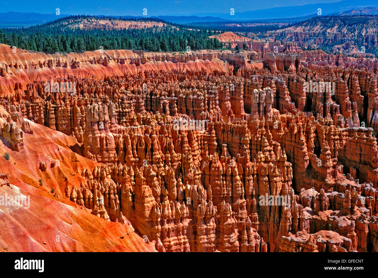 View into Amphitheater of Bryce Canyon National Park, Utah Stock Photo ...