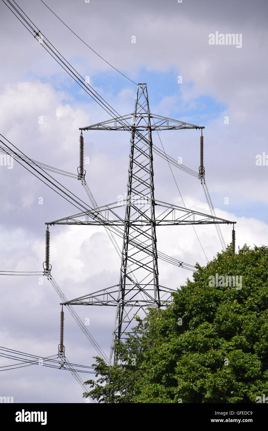 Electricity pylon behind tree Stock Photo - Alamy