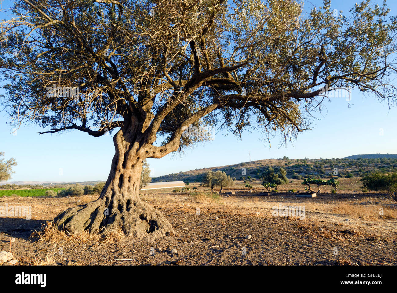 Old plains hi-res stock photography and images - Alamy