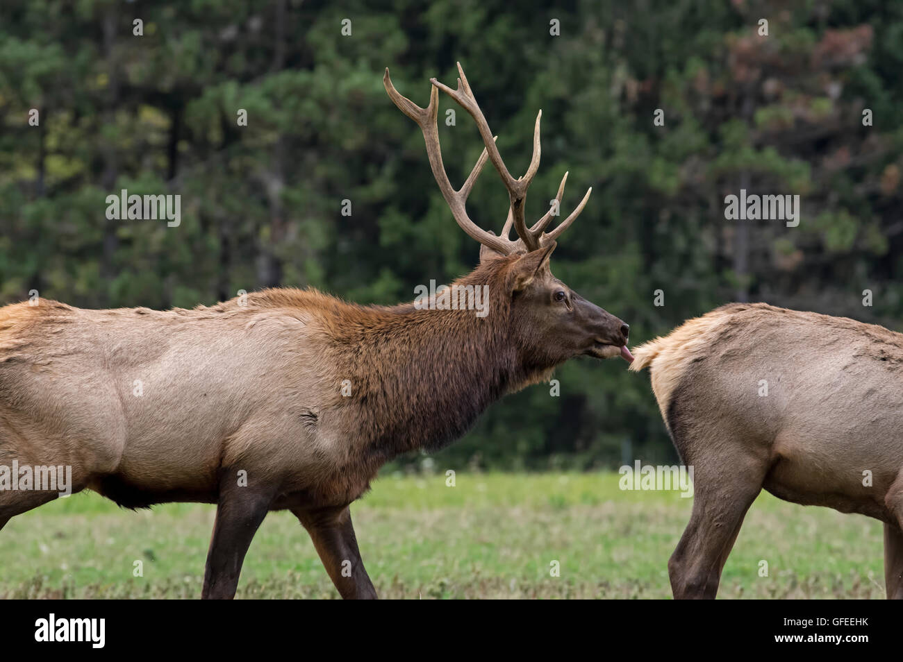 The fall of the year hi-res stock photography and images - Alamy
