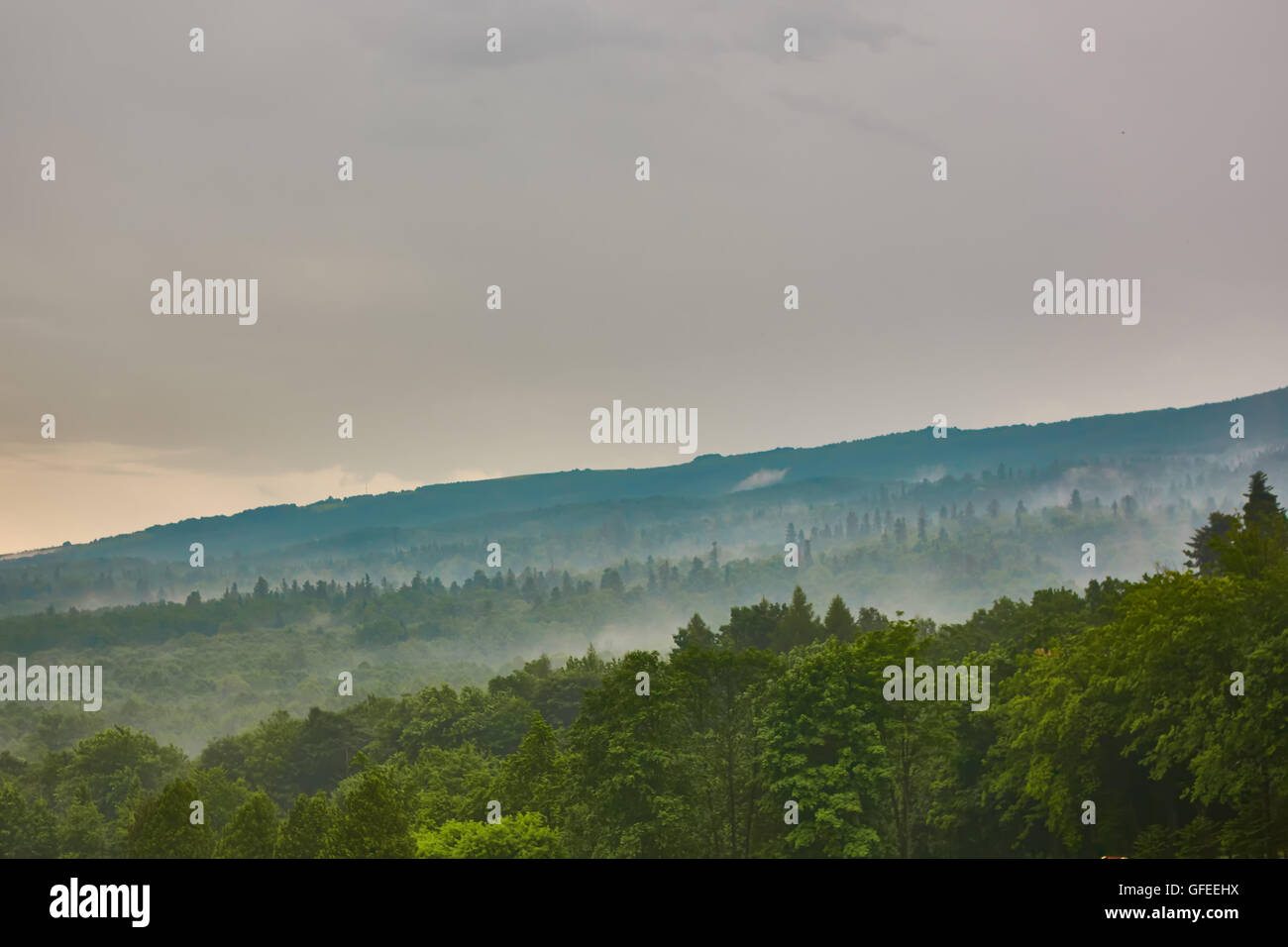 Mysterious forested hills hi-res stock photography and images - Alamy