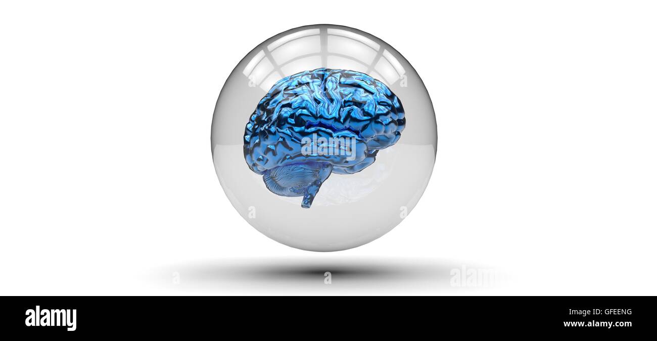 It`s a brain in a glass ball Stock Photo - Alamy