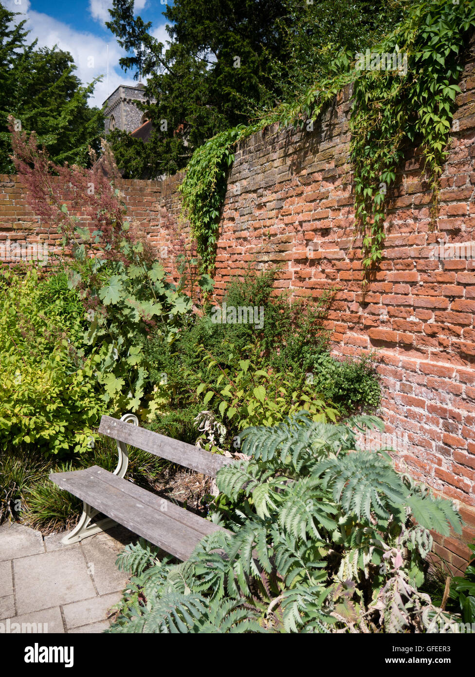 Caversham Court Gardens, Caversham, Reading, Berkshire, England, UK, GB ...