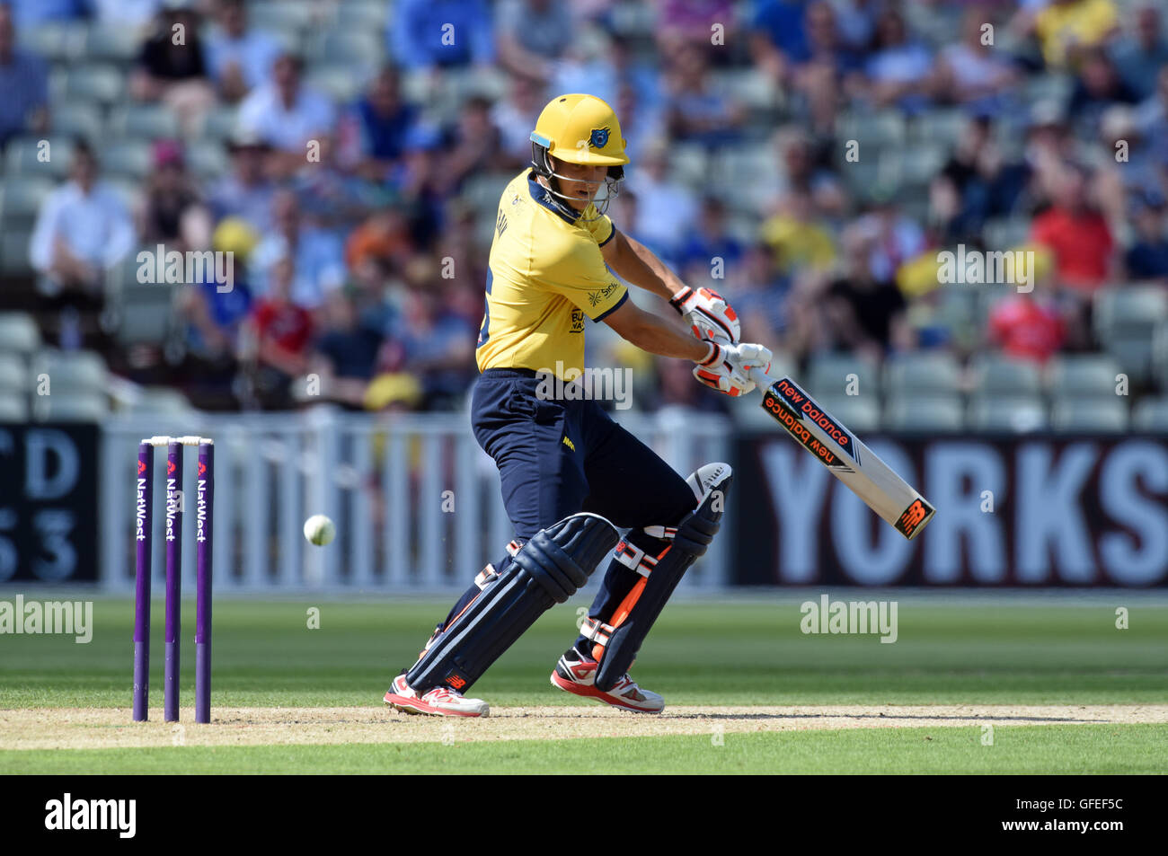 Cricketer Sam Hain batting for Warwickshire County Cricket Club Stock ...