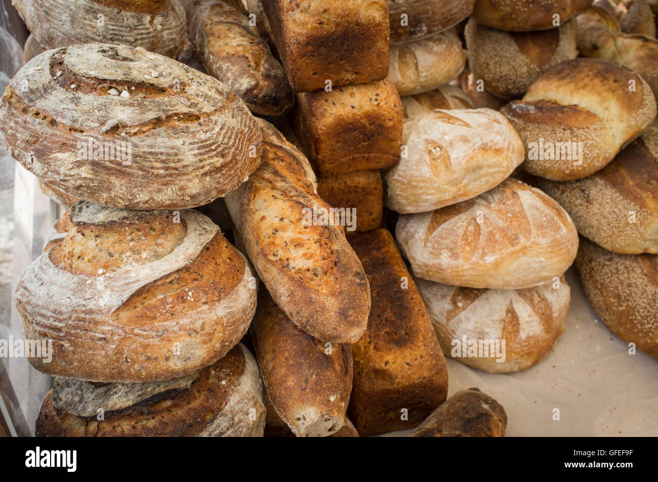 Many different types of fresh bakery bread in background Stock Photo ...