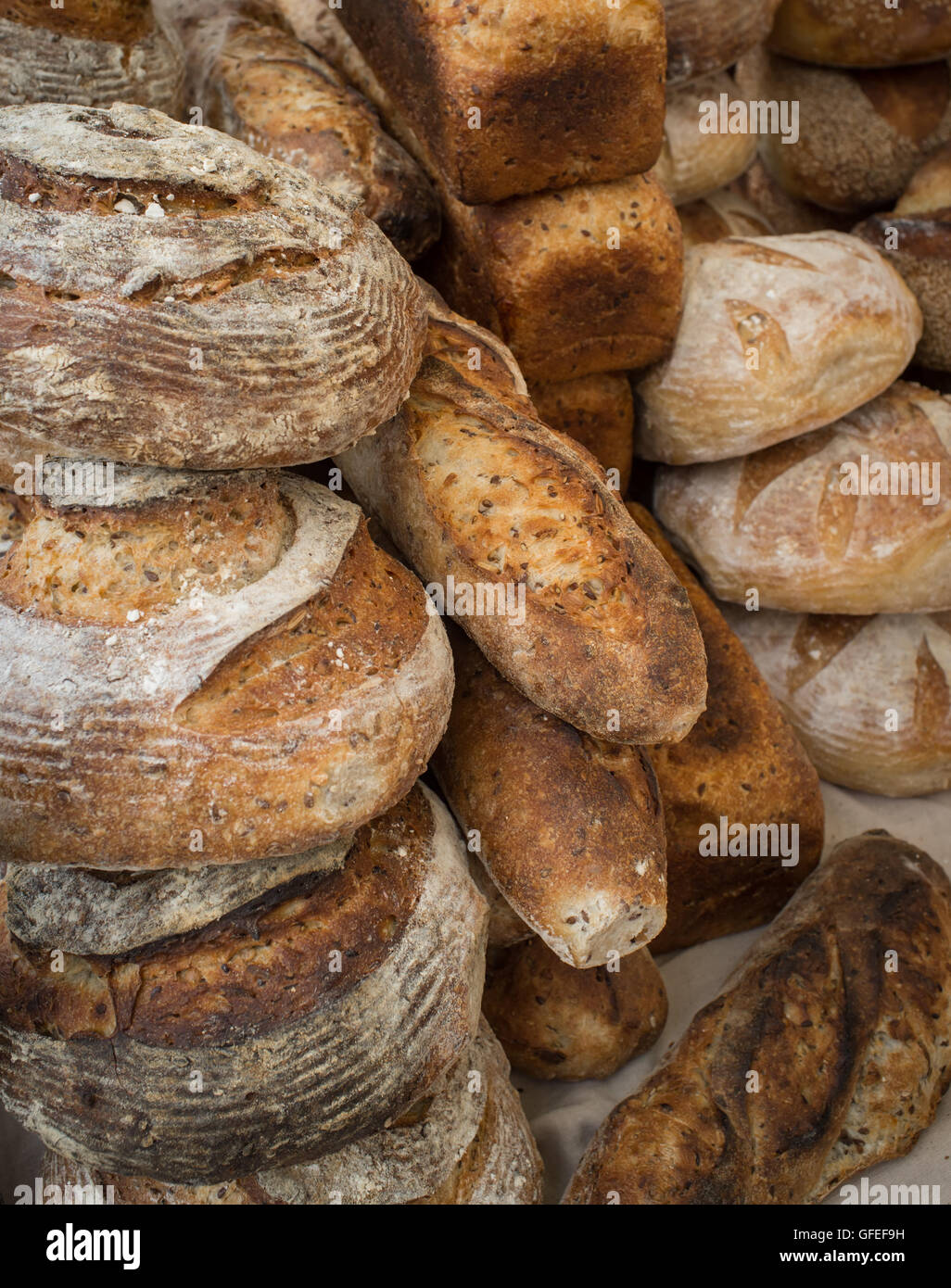 Many different types of fresh bakery bread in background Stock Photo ...