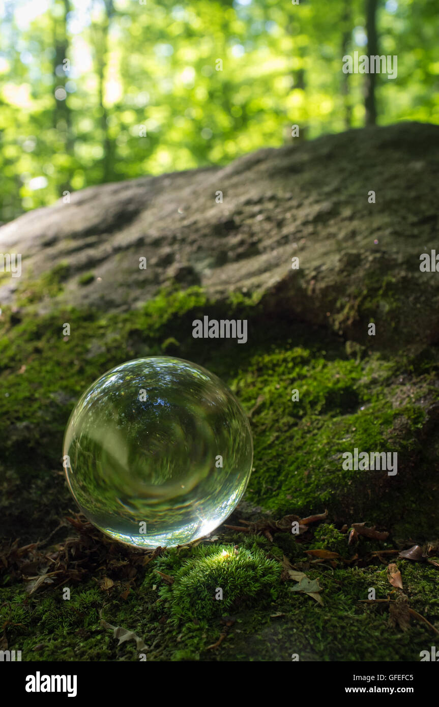 Magic crystal ball on forest floor for summer fantasy imagery Stock ...