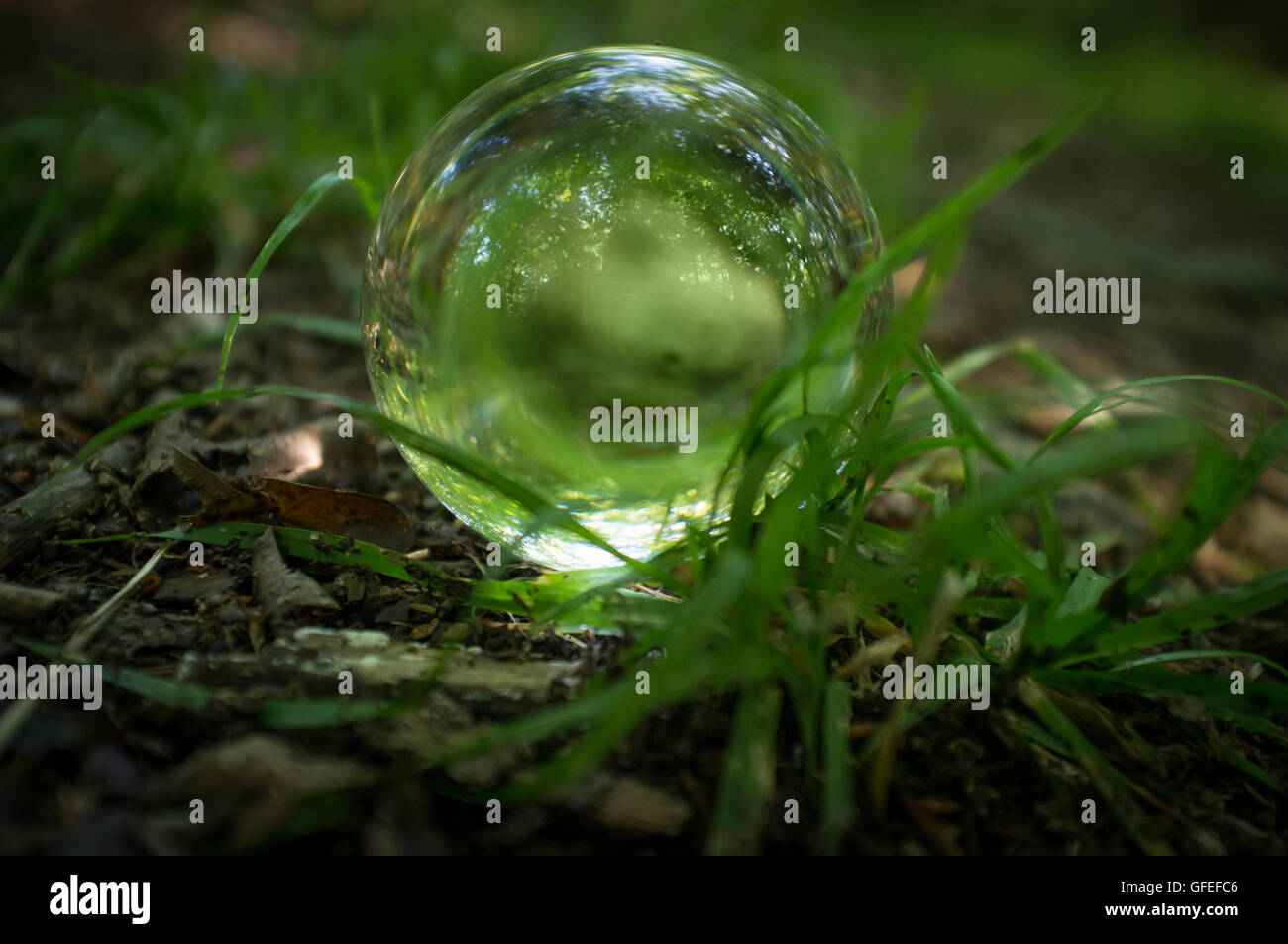 Magic crystal ball on forest floor for summer fantasy imagery Stock ...