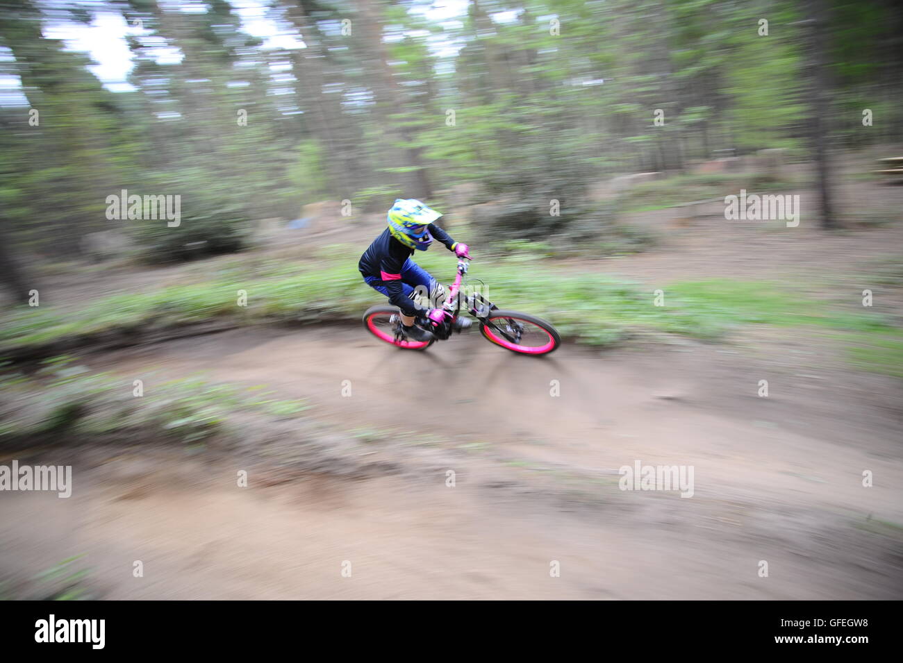 Chicksands wood hi-res stock photography and images - Alamy