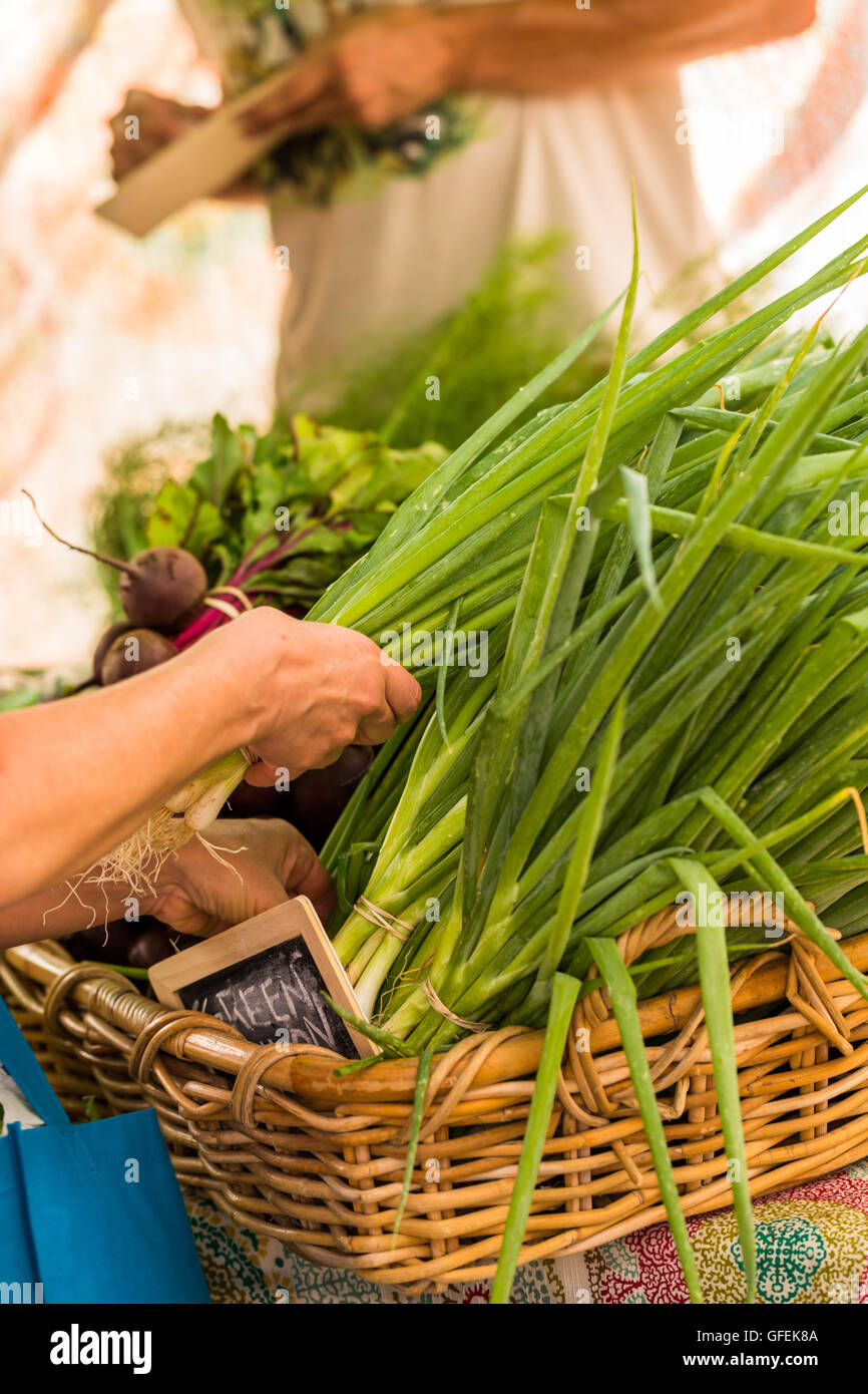 Fresh organic produce at the local farmers market Stock Photo - Alamy