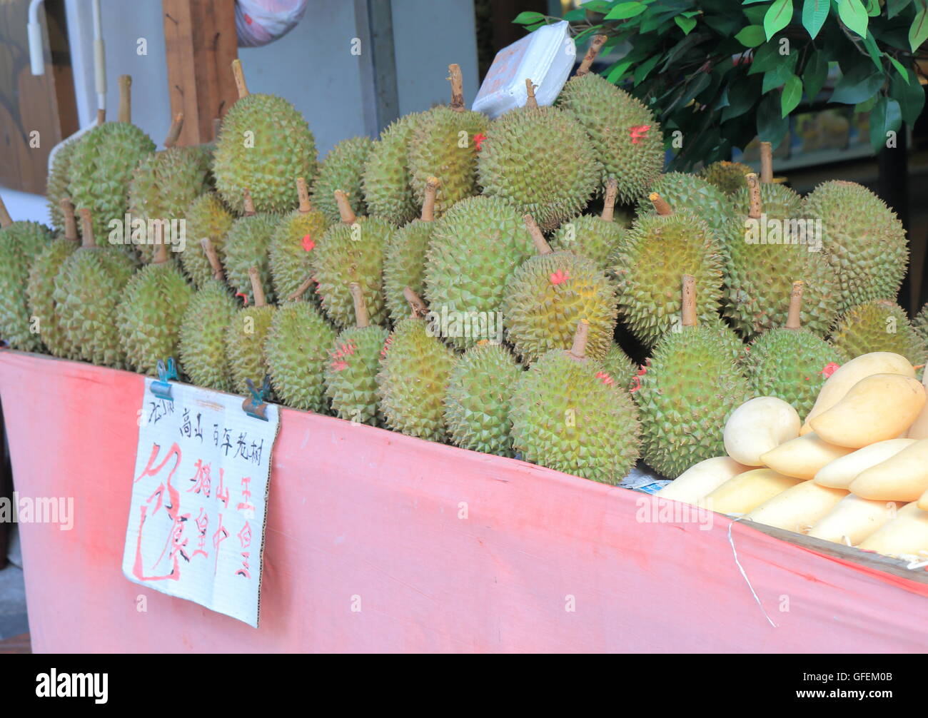 Durians display hi-res stock photography and images - Alamy