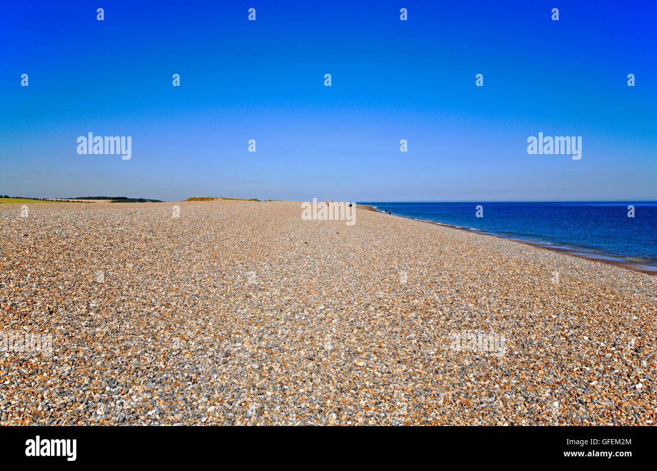 A view of the shingle beach and ridge on the North Norfolk coast at ...