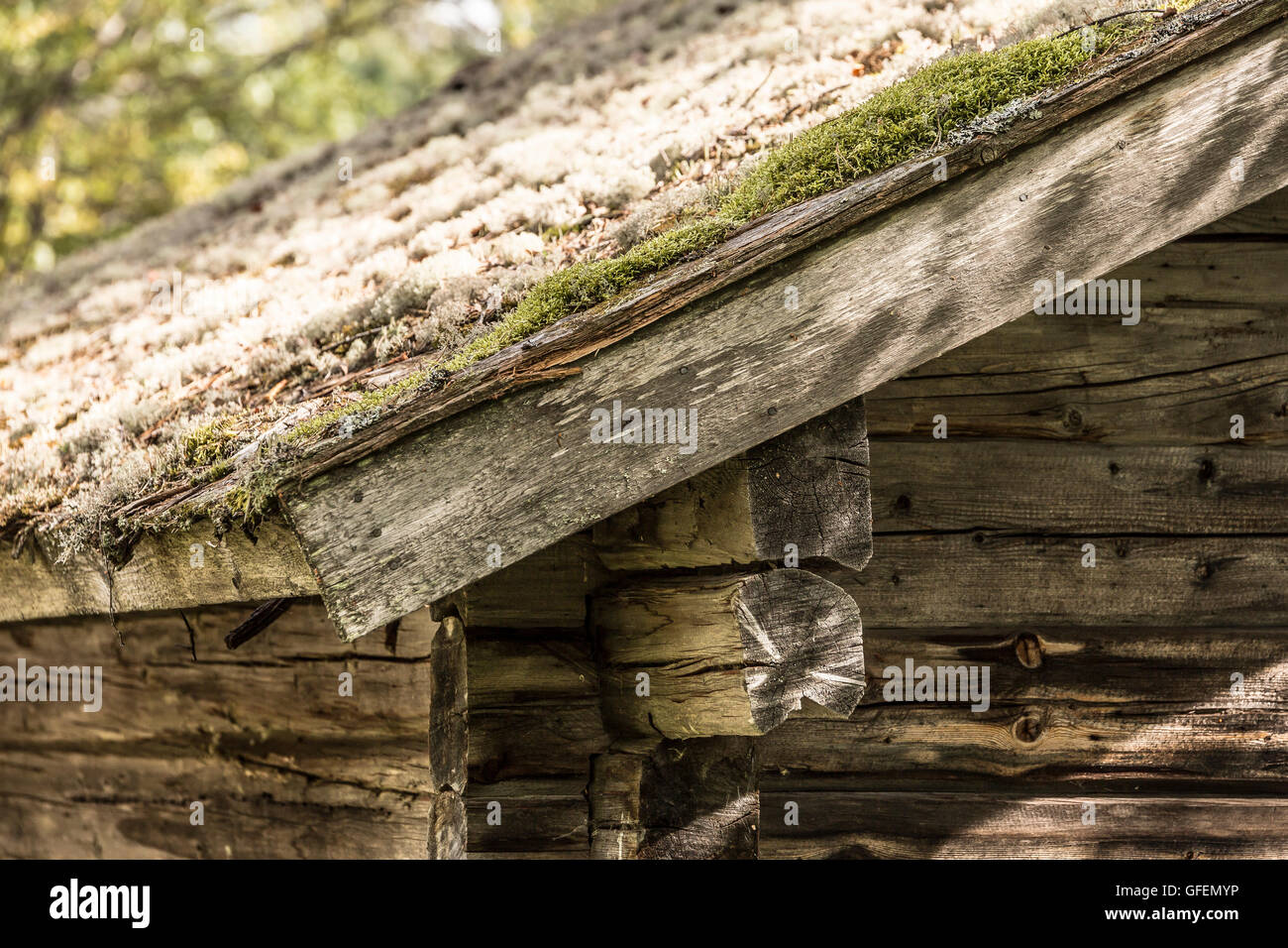 Moss lodge hi-res stock photography and images - Alamy