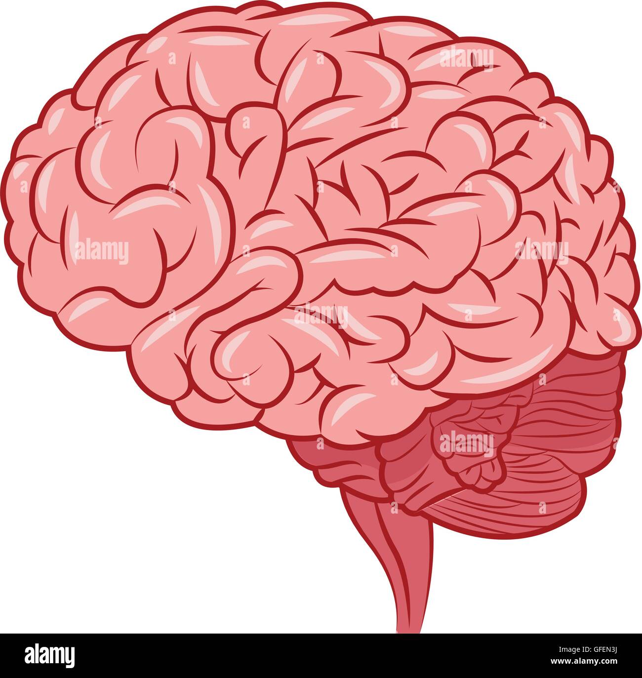 human brain icon Stock Vector Image & Art - Alamy