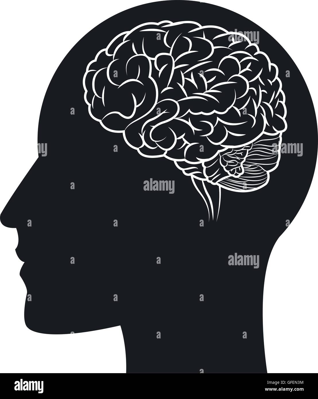 Human Head Brain Vector