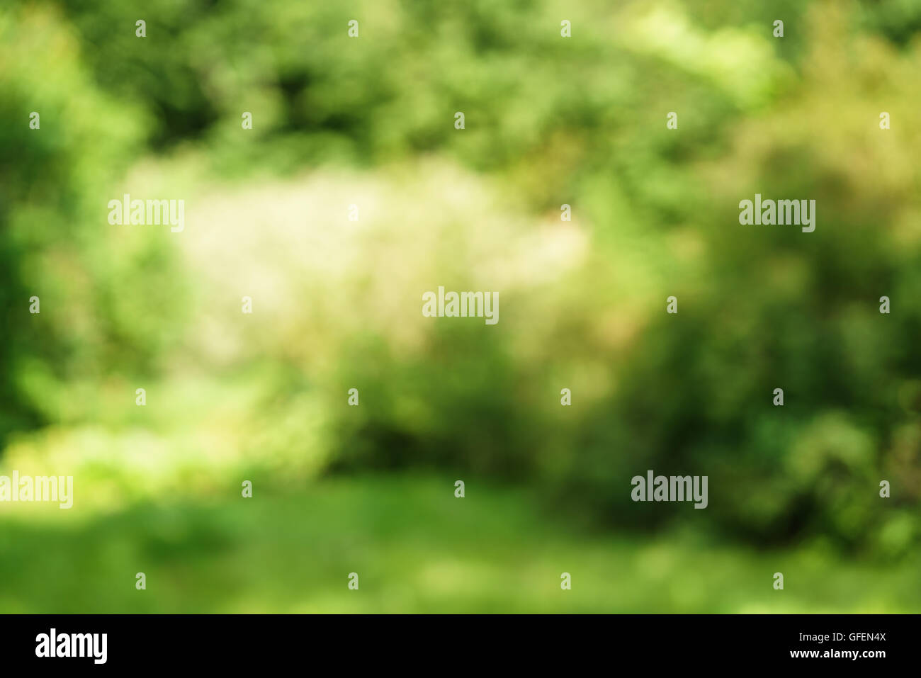 fresh green summer blur background Stock Photo - Alamy